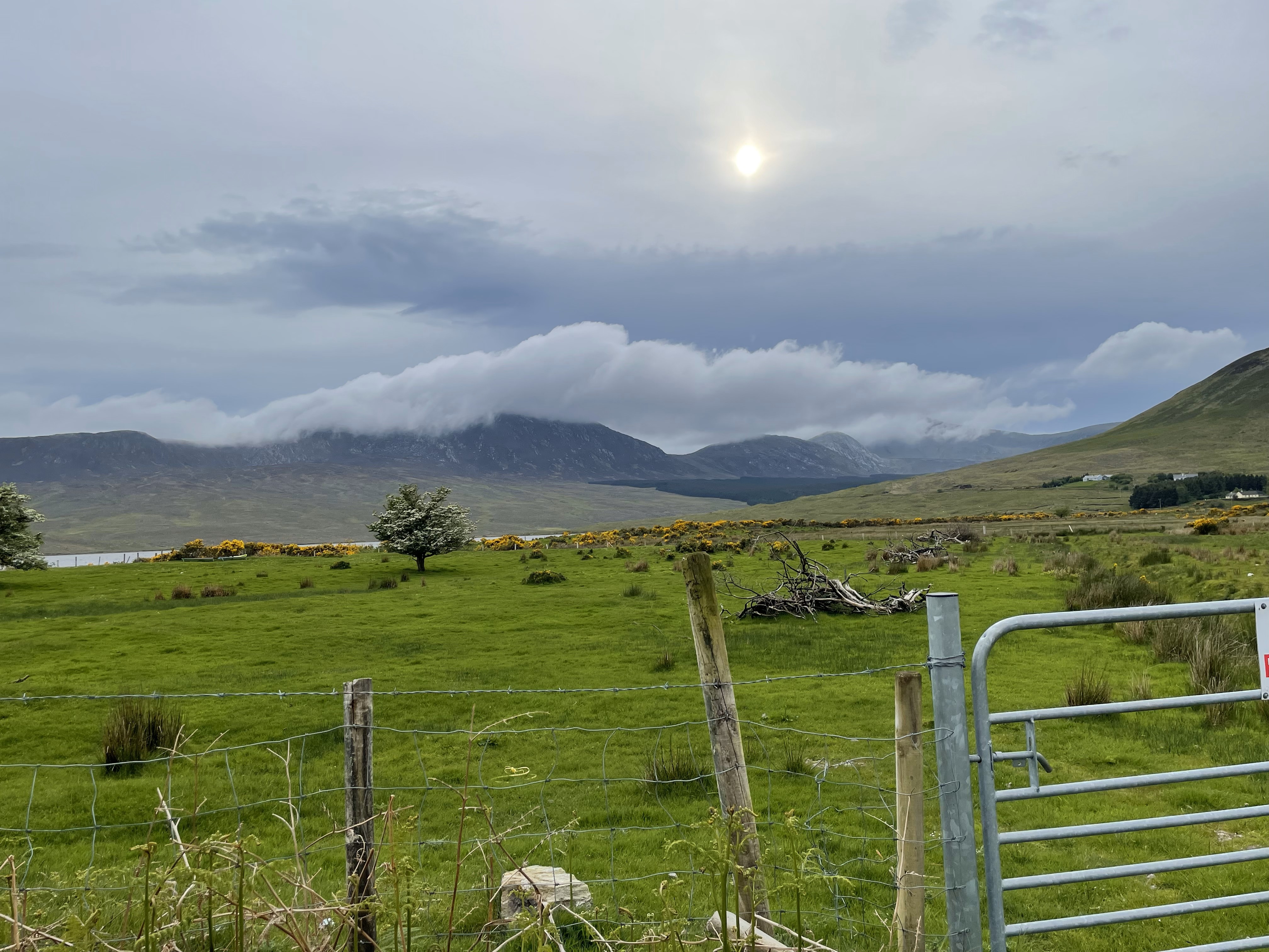 Rewilding a park. And how wild the Wild Nephin was. – Outspoken Traveler